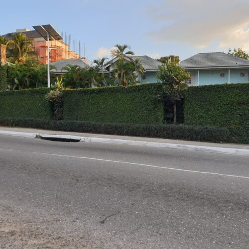 STRATA LOT NO. 31 SALISBURY PLACE, 71 BARBICAN ROAD, KINGSTON 6 ...