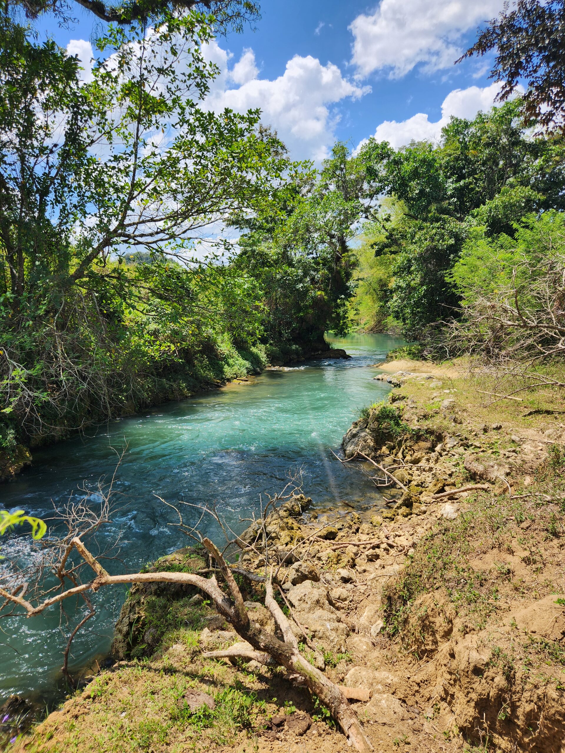 LAND PART OF VAUXHALL, MAGGOTTY, ST. ELIZABETH - Scott's Realty Limited ...