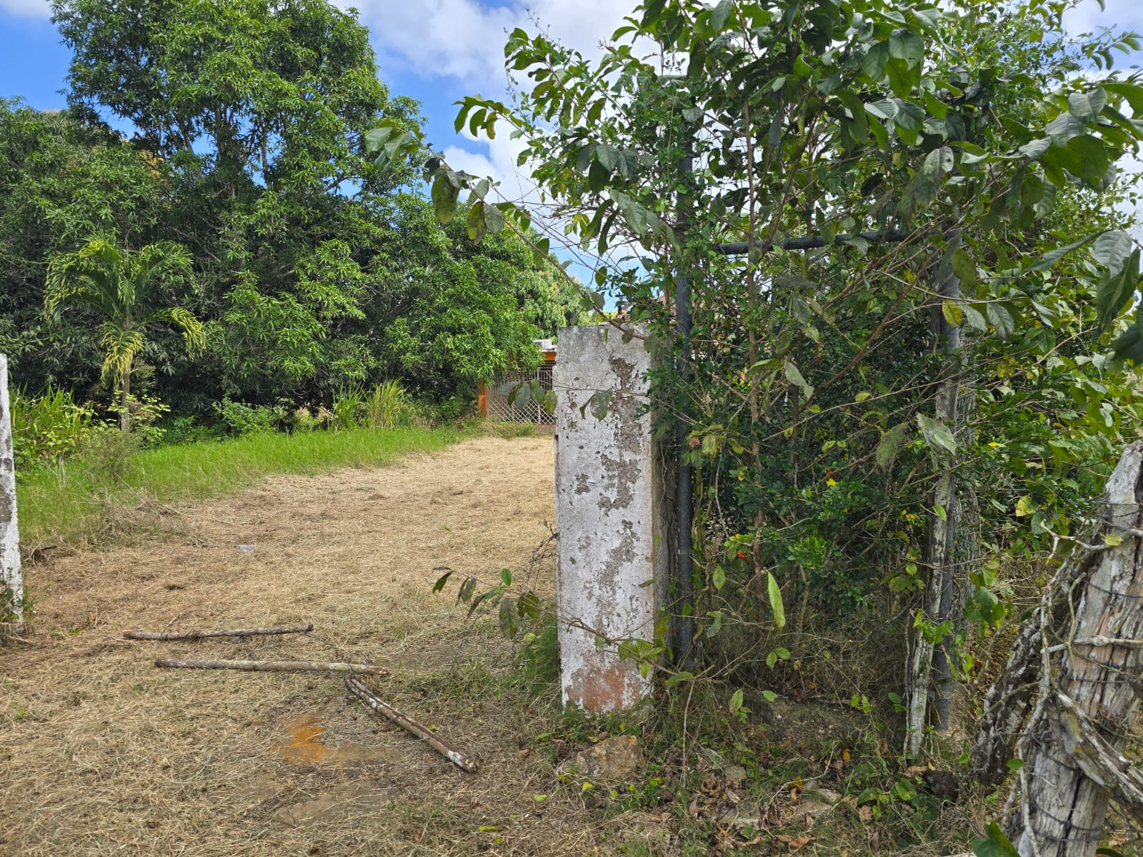 LOT NO.12 CEDAR WAY, PART OF GREEN PARK, TRELAWNY - Scott's Realty ...